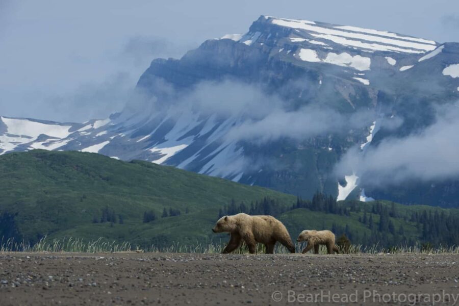 6 Questions for Photographer Barrett Hedges - Penda Photo Tours