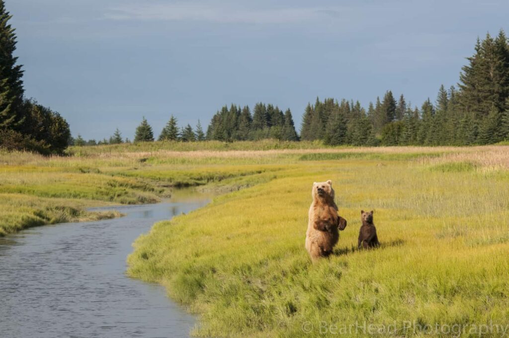 6 Questions for Photographer Barrett Hedges - Penda Photo Tours