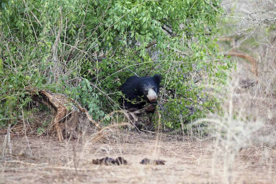 6 Questions for Photographer Lucia Griggi - Penda Photo Tours