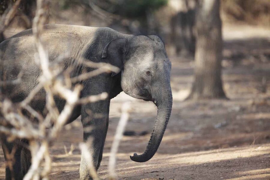 6 Questions for Photographer Lucia Griggi - Penda Photo Tours