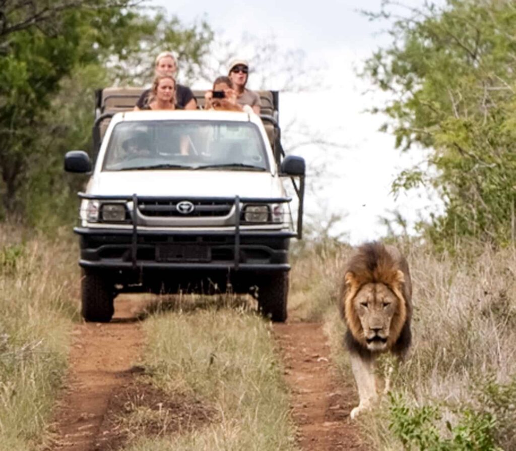 Wildlife Photography & Conservation Volunteer Project