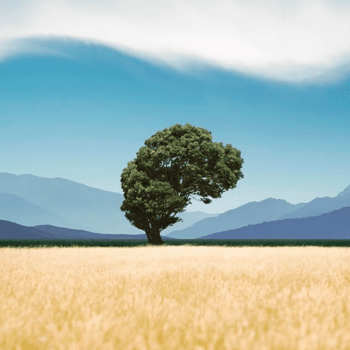 Landscape Photography Inspirations | 5 Best Instagram Pages