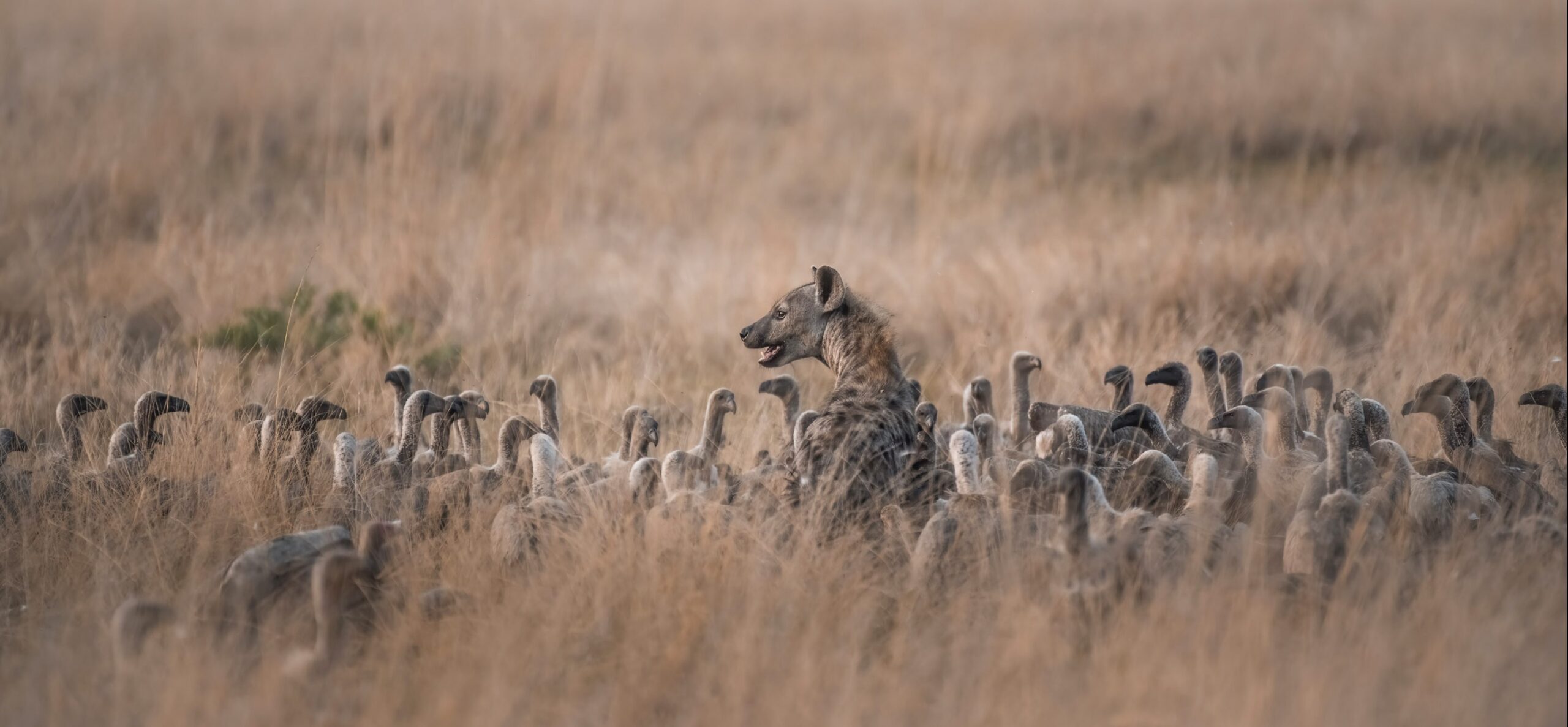 5 Reasons to Join a Photography Volunteer Project