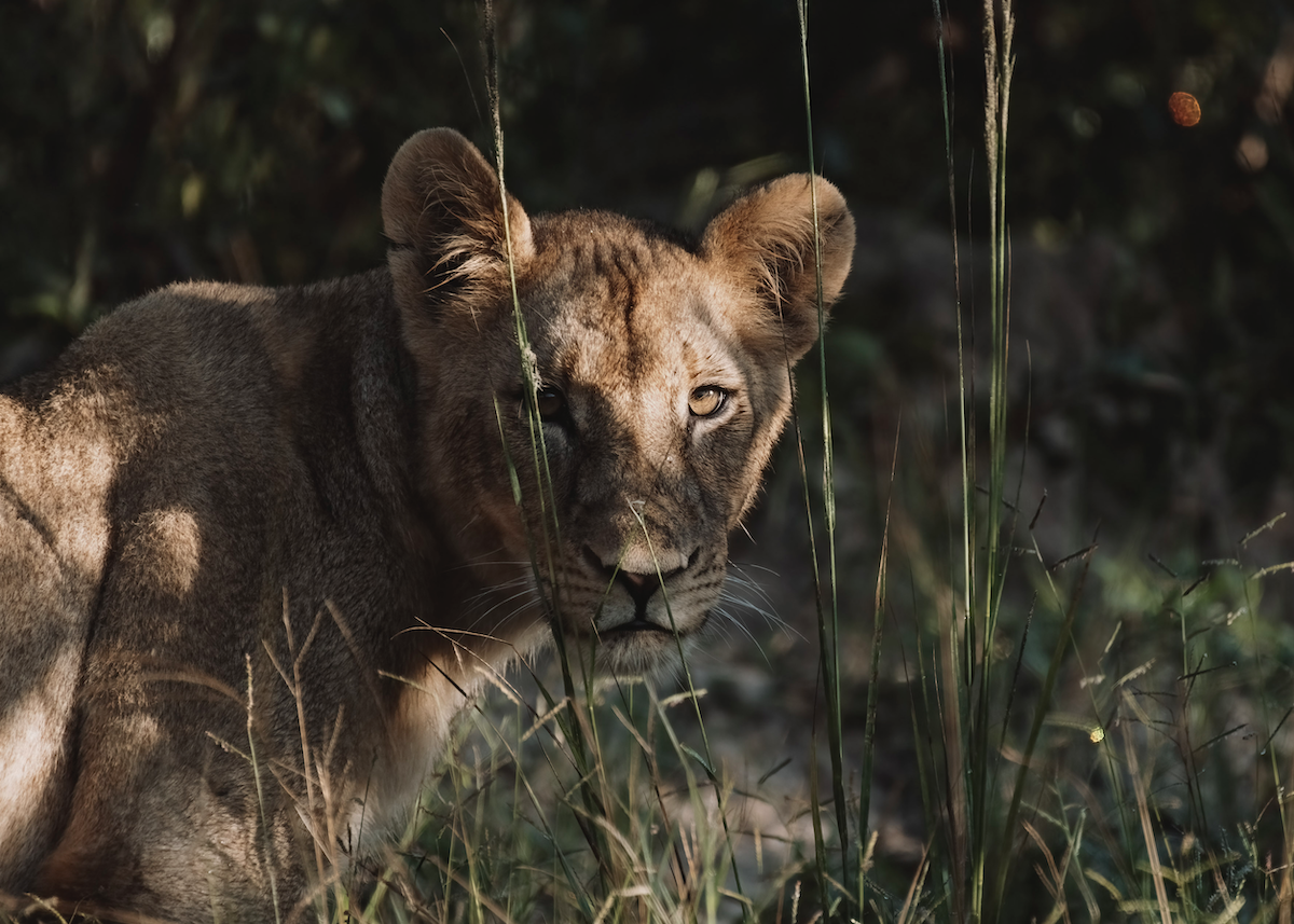 5 Reasons to Join a Photography Volunteer Project