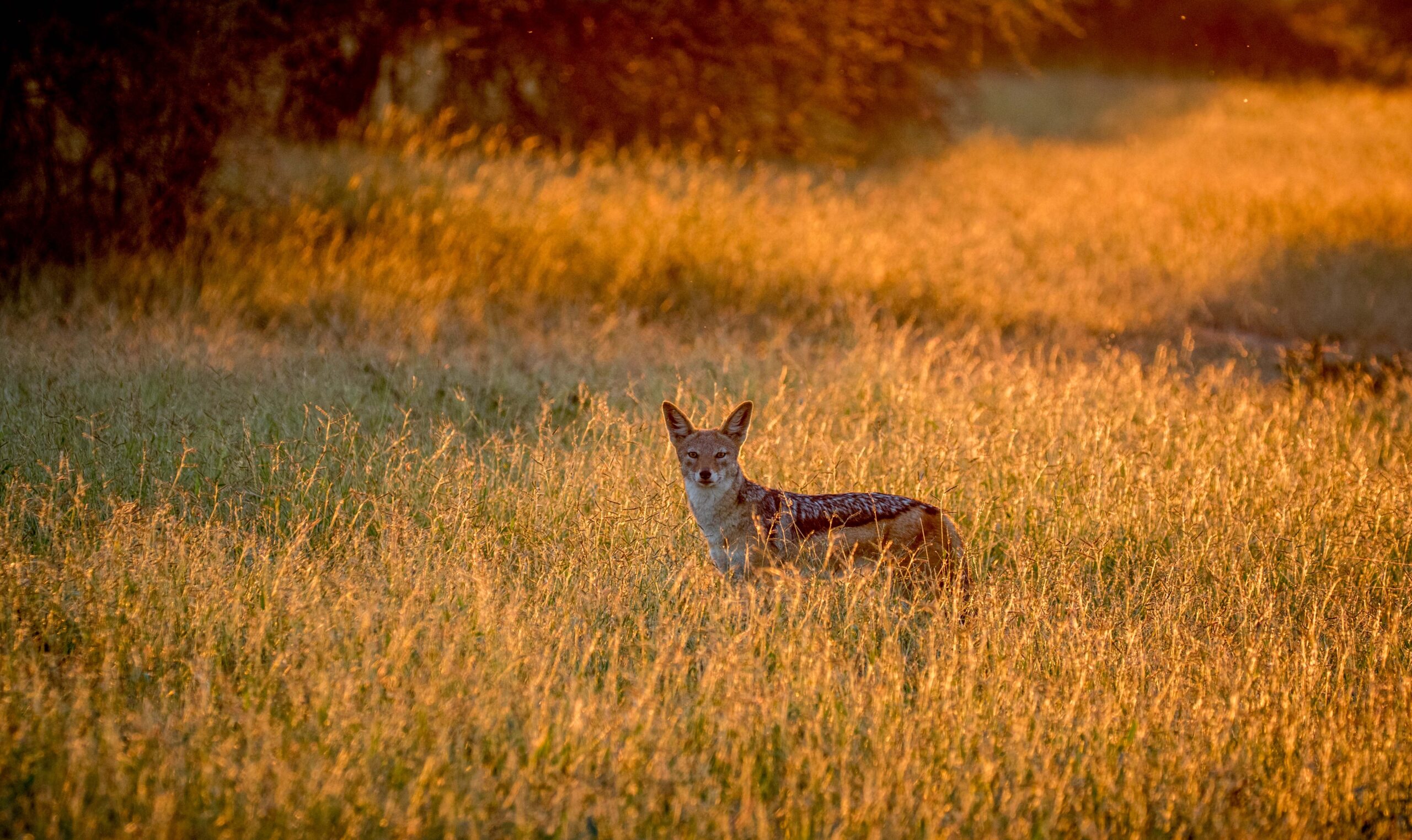 5 Reasons to Join a Photography Volunteer Project