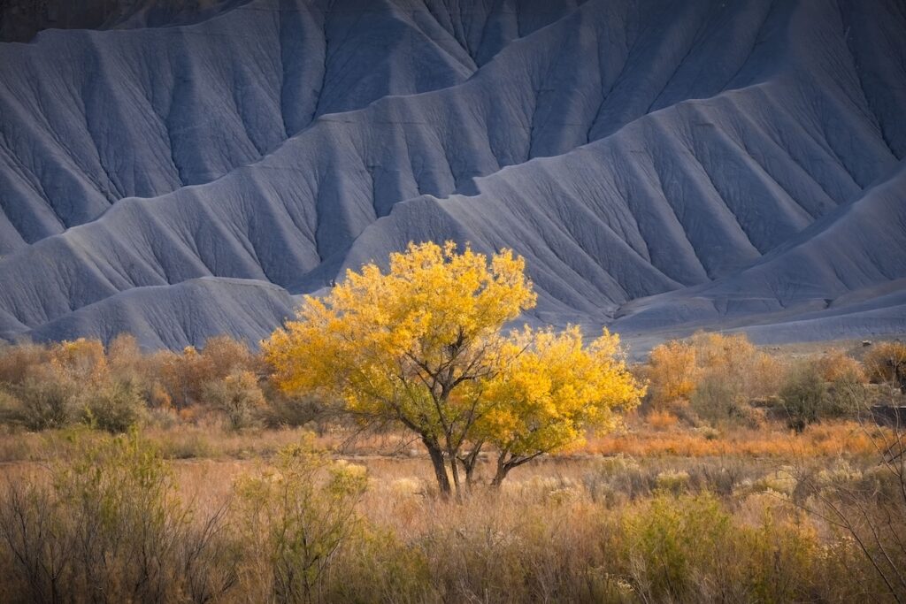 Travel Photo Competition Finalists 2026: Landscape Category